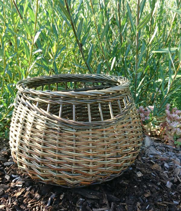 Harvest Basket in Willow: An Intro to Round Stake and Strand Weaving ...